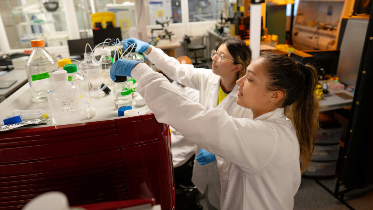 NC State and Novartis Partner to Innovate Gene and Cell Therapy ...